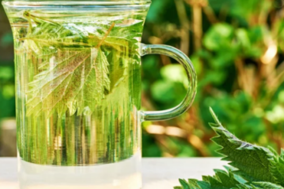 Shendetesi - Revista Kosovarja