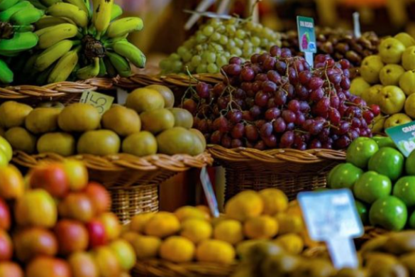 Shendetesi - Revista Kosovarja