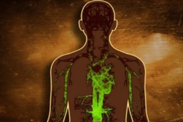 Shendetesi - Revista Kosovarja