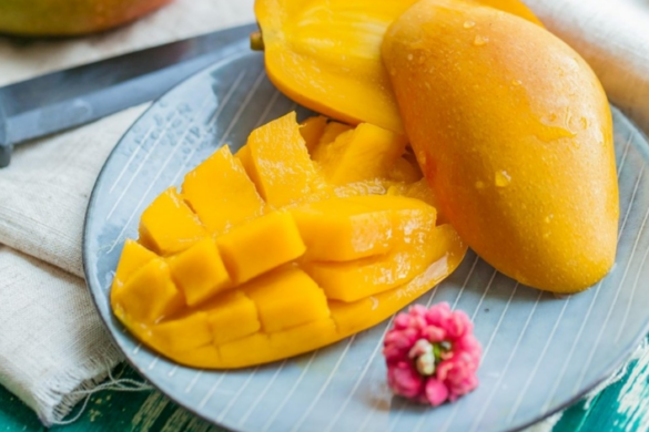 Shendetesi - Revista Kosovarja